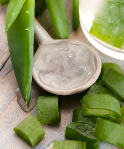 Alveja – dabas brīnums